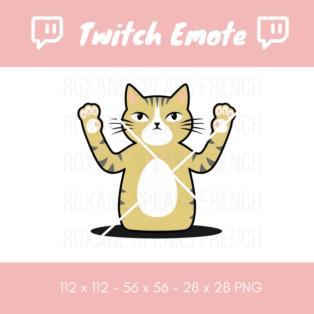 Twitch Cat Emote - Caught Kitty Static PNG for Streaming, Discord, and ...