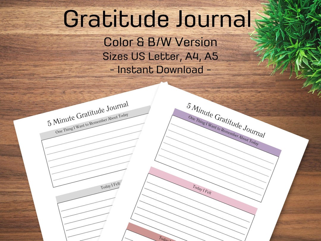 Gratitude Journal Printable, Daily Gratitude Journal Template ...