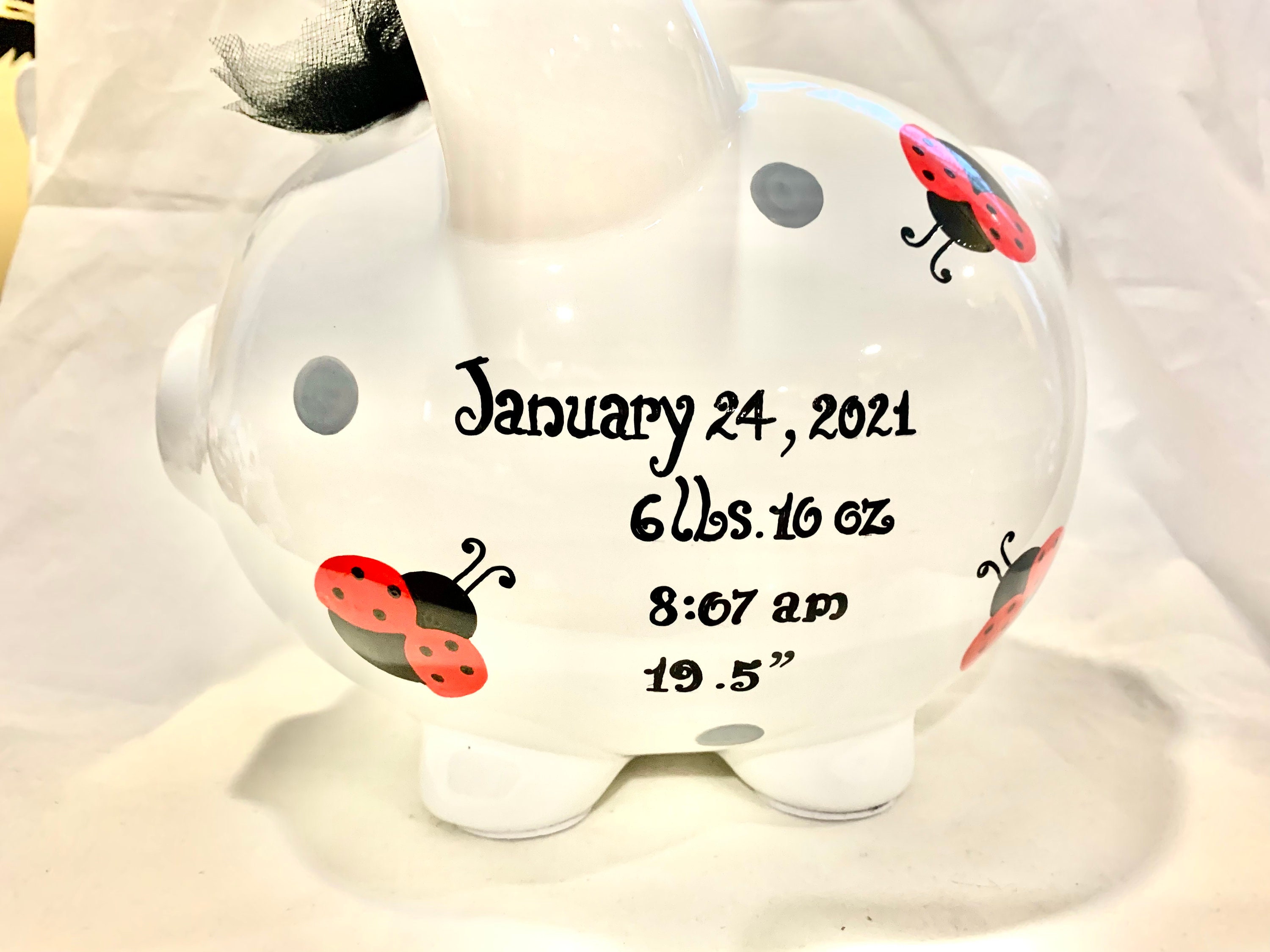 Personalized Birth Announcement Hand Painted Red Ladybugs Flower Piggy ...