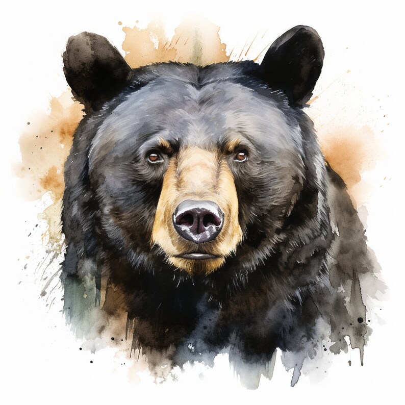 Black Bears in Watercolor-digital Images - Etsy