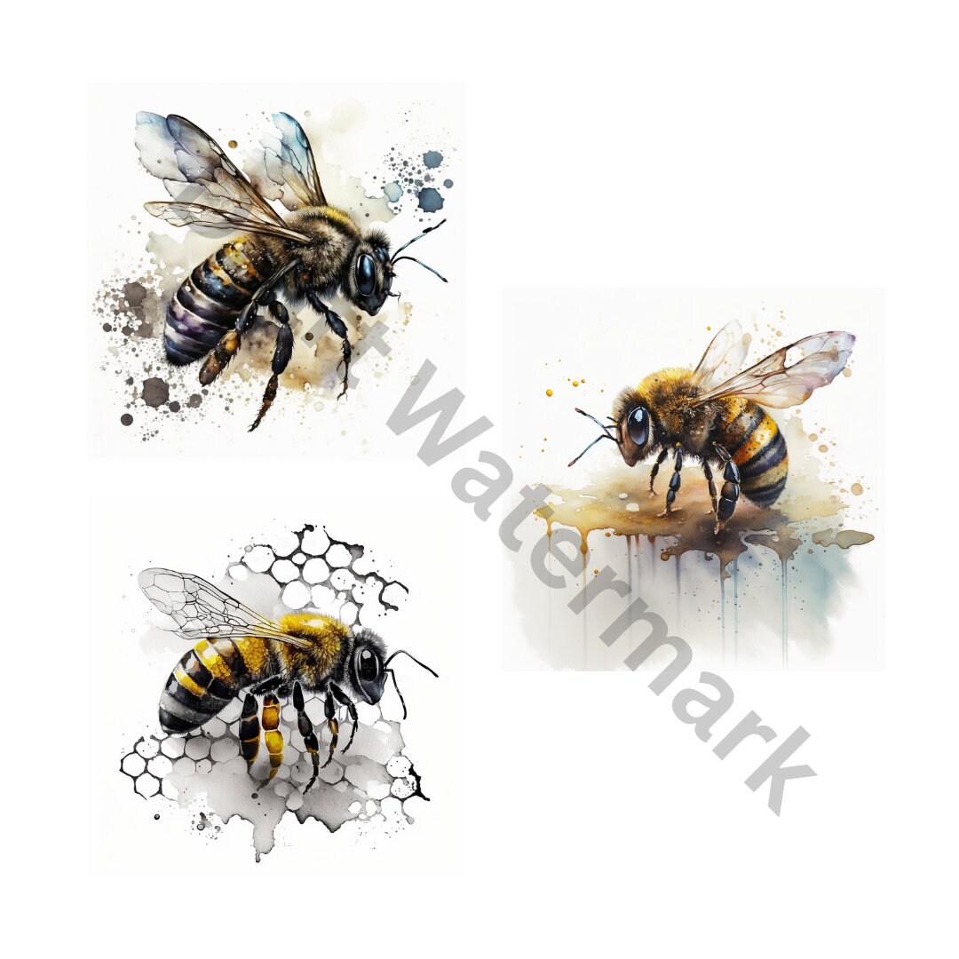 Watercolor Bumblebee Clipart | Summer Clipart | Honeybee Clipart | PNG ...