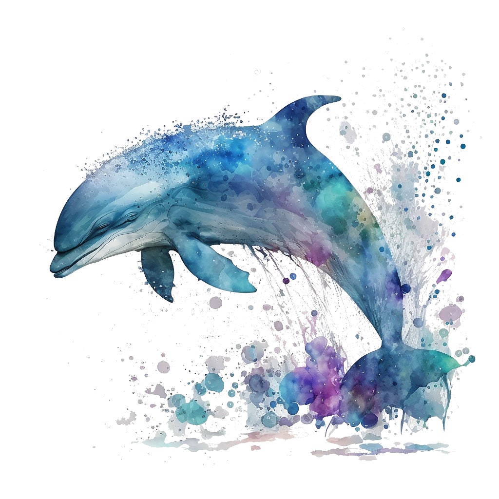 Watercolor Dolphin Clip Art | PNG | Commercial Use - Etsy