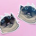 Merv the Cat Vinyl Sticker 2-pack / Mervthecat / Cat Sticker / Funny ...