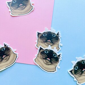 Merv the Cat Vinyl Sticker 2-pack / Mervthecat / Cat Sticker / Funny ...