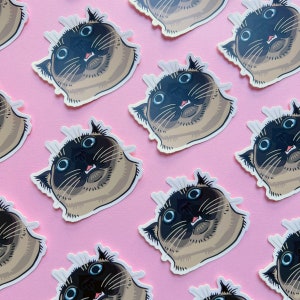 Merv the Cat Vinyl Sticker 2-pack / Mervthecat / Cat Sticker / Funny ...