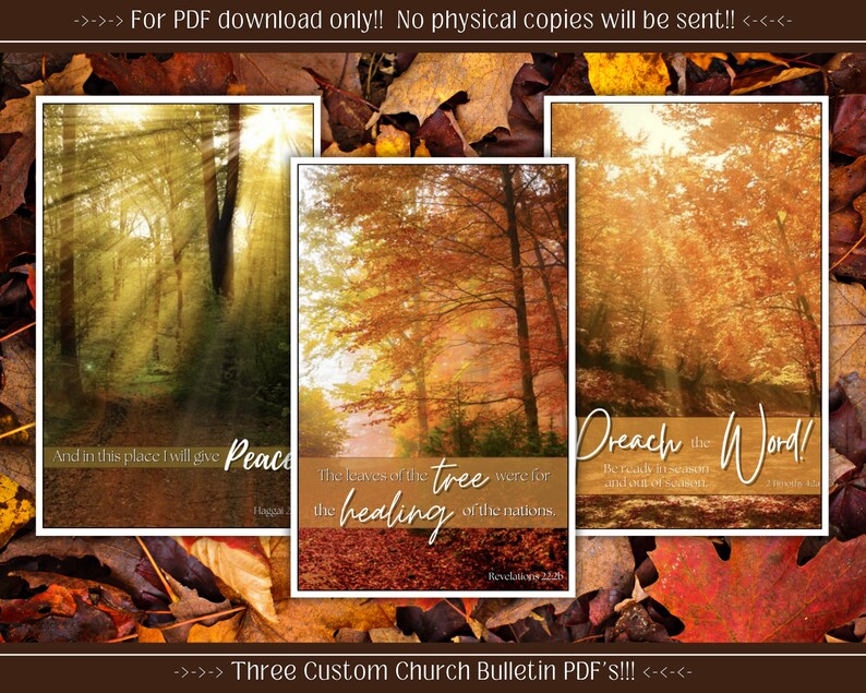 3 Printable Bulletin Covers Autumn Woods God's Natural Beauty Download ...