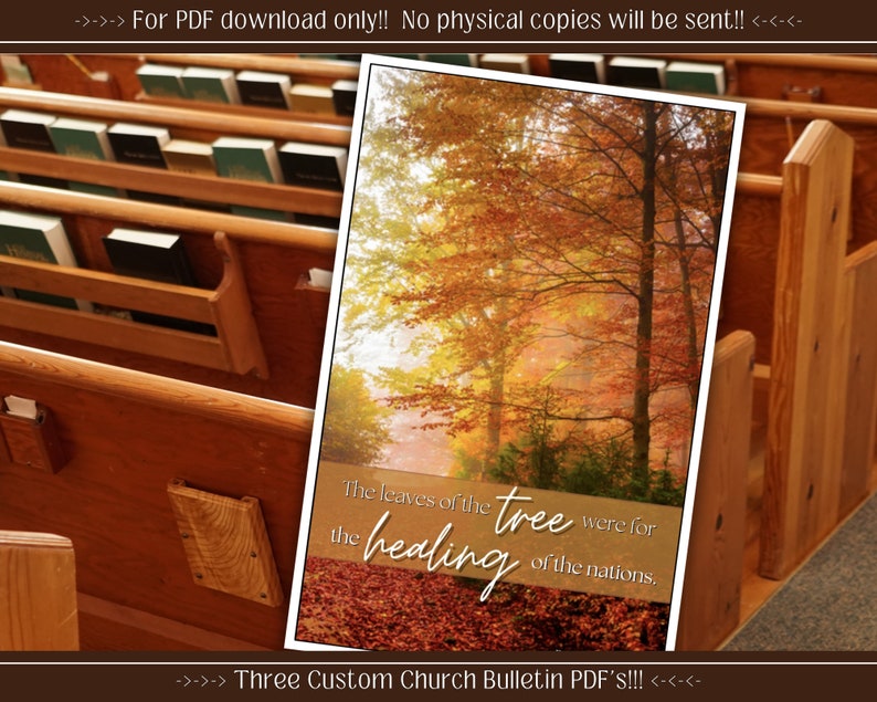 3 Printable Bulletin Covers Autumn Woods God's Natural Beauty Download ...