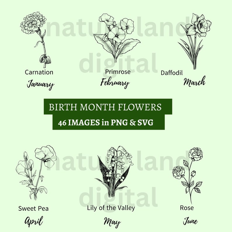 Birth Flowers Clipart Birth Month Flowers SVG & PNG Clip Art Bundle ...