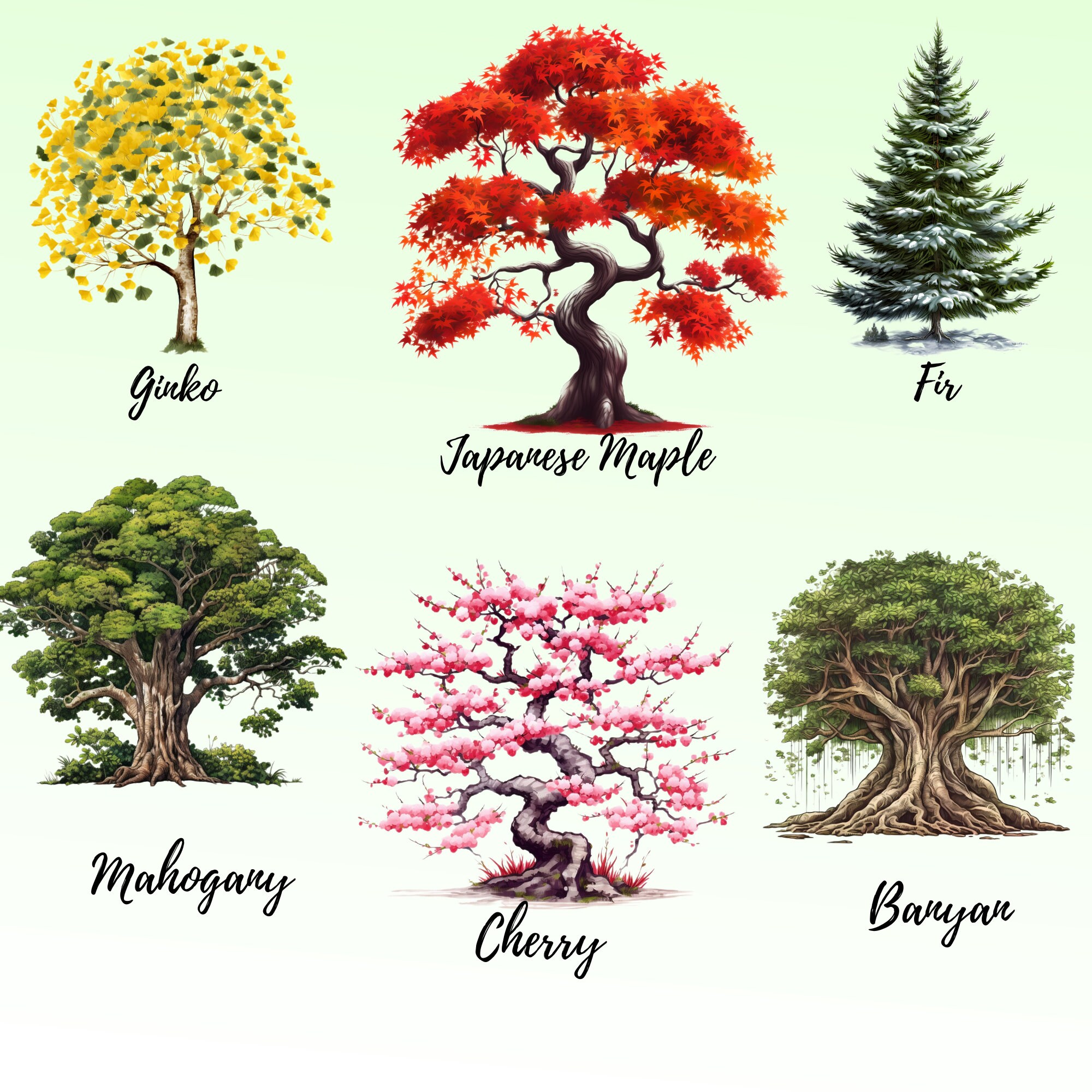 Botanical Trees Clipart Ṇature Landscape Greenery Clip Art DIY Creative ...