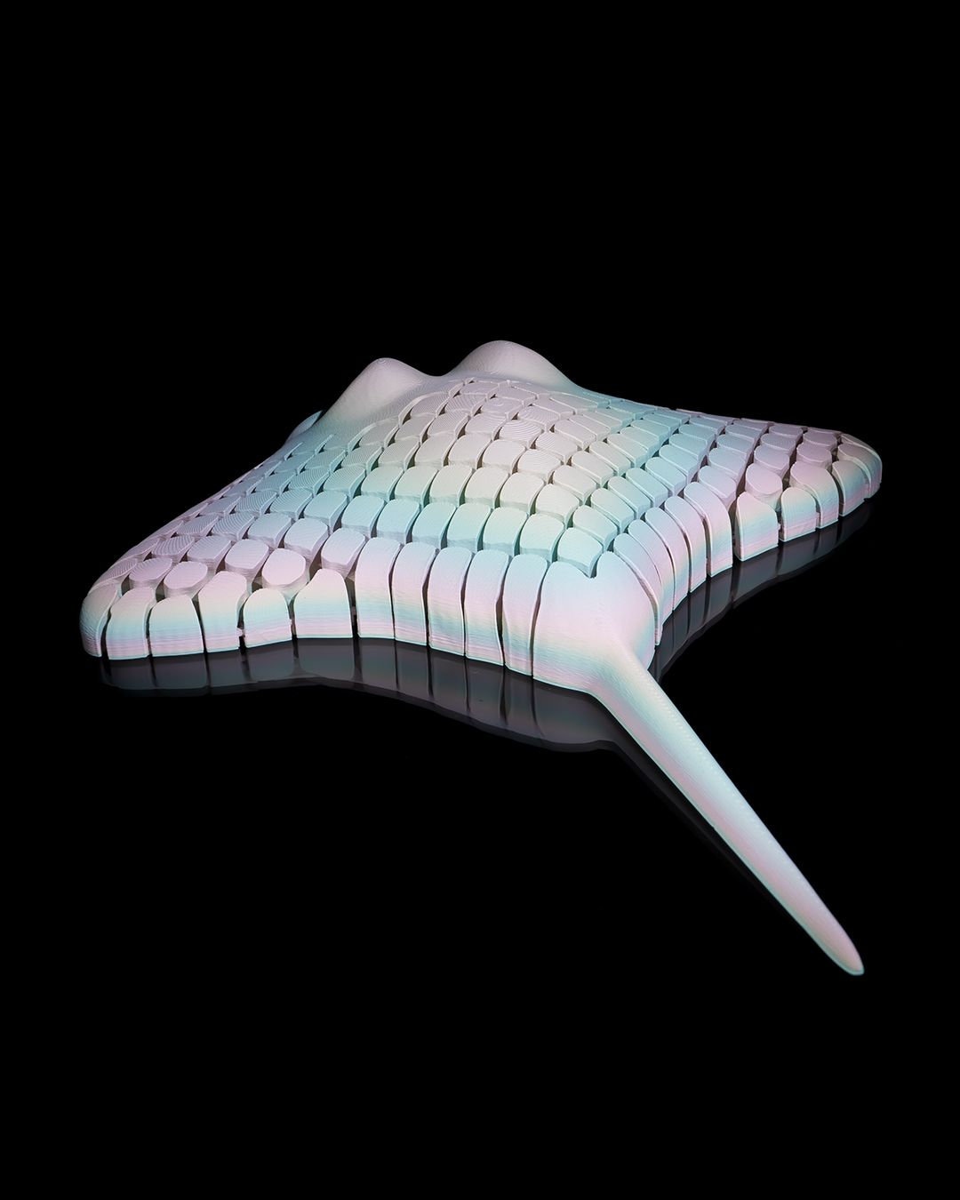 Ray the Manta Ray, 3D Printed Articulating Manta Ray - Etsy