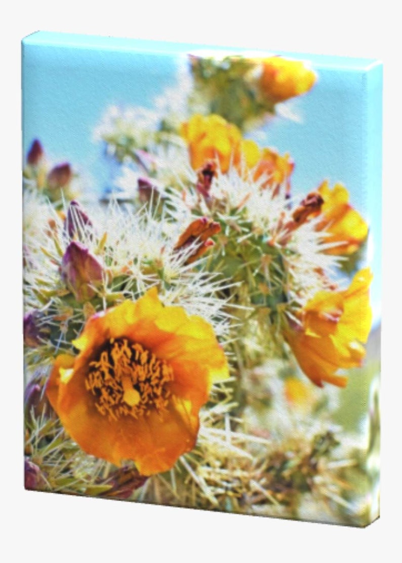 Arizona Cactus Flowers, Cacti, Desert Print, Wall Decor, Wall Art ...