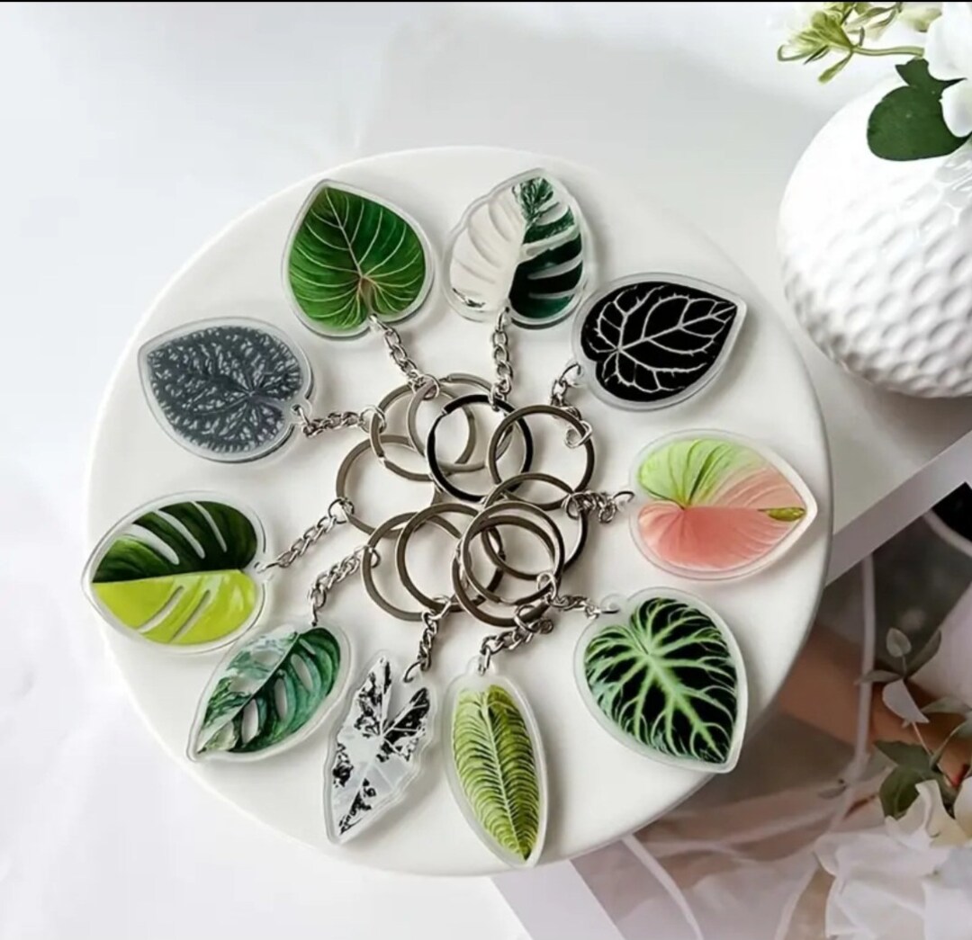 Exotic Plant Leaf Acrylic Key Chains-monstera Leaf-new Driver-small ...