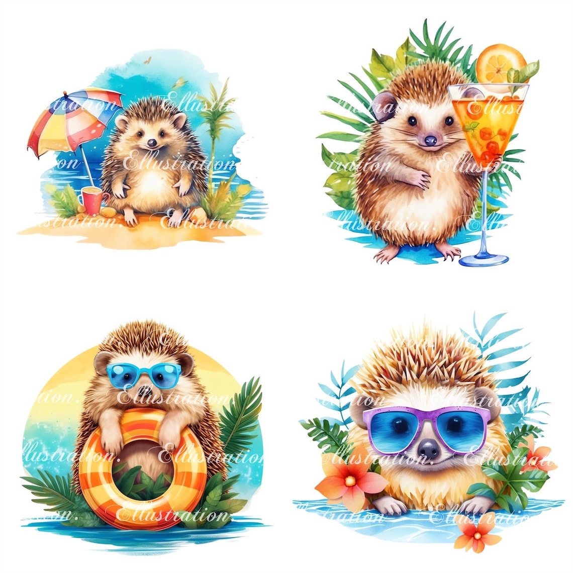 12 Beach Hedgehogs Clipart - PNG Files - Transparent Background ...
