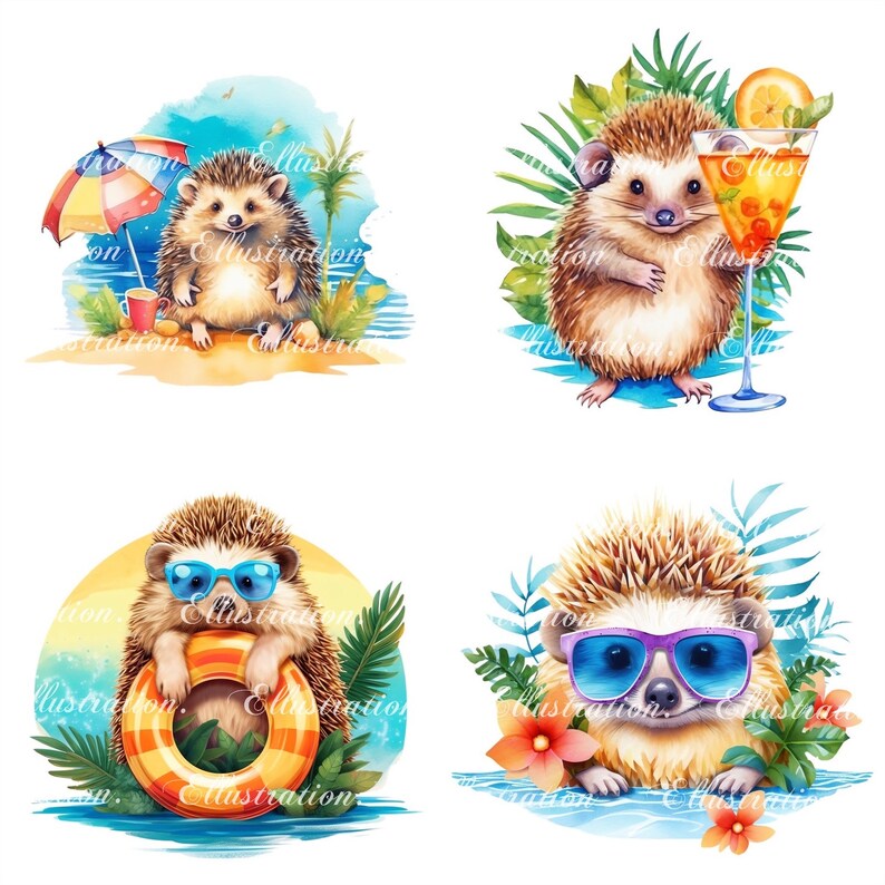 12 Beach Hedgehogs Clipart - PNG Files - Transparent Background ...