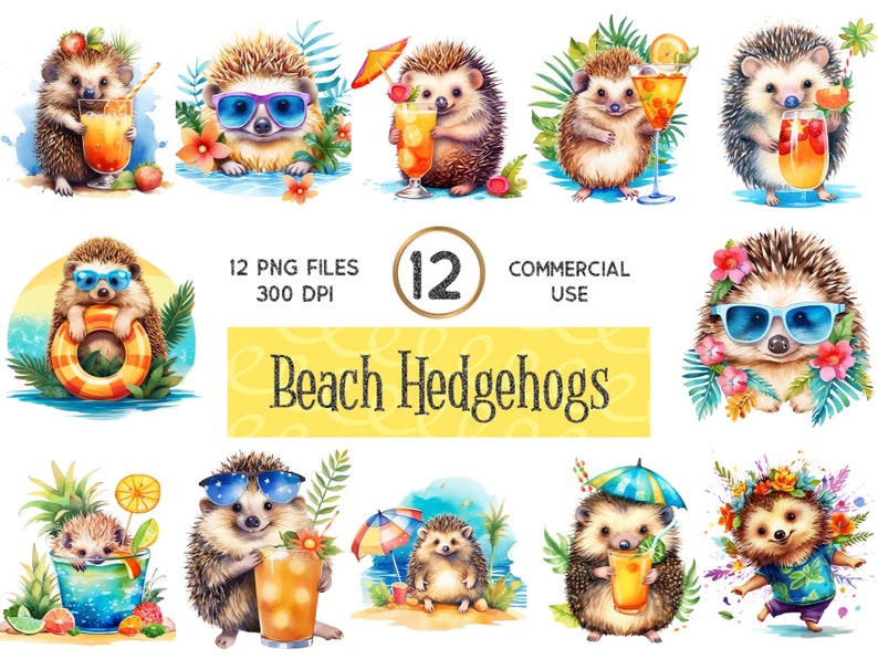 12 Beach Hedgehogs Clipart - PNG Files - Transparent Background ...