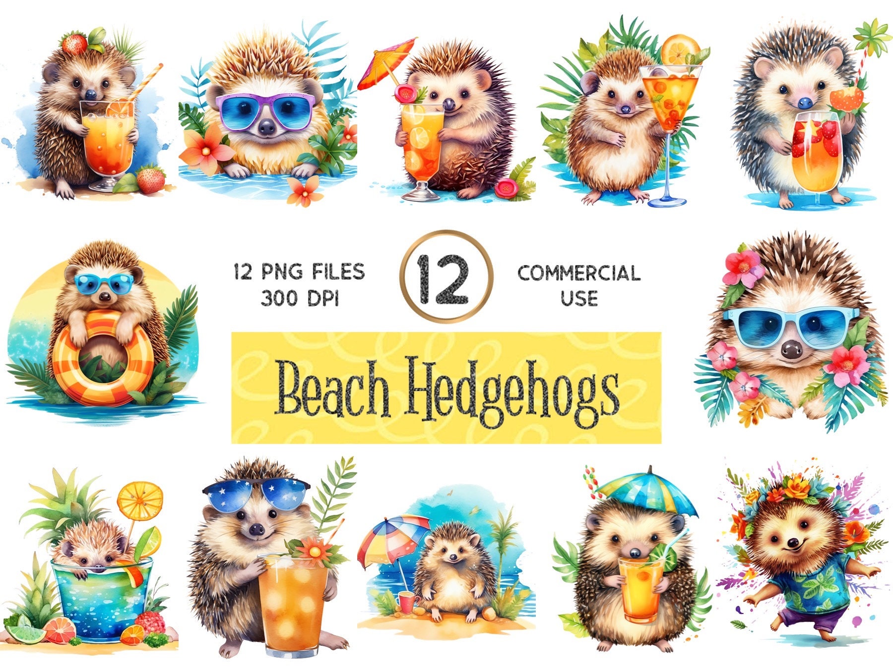 12 Beach Hedgehogs Clipart - PNG Files - Transparent Background ...