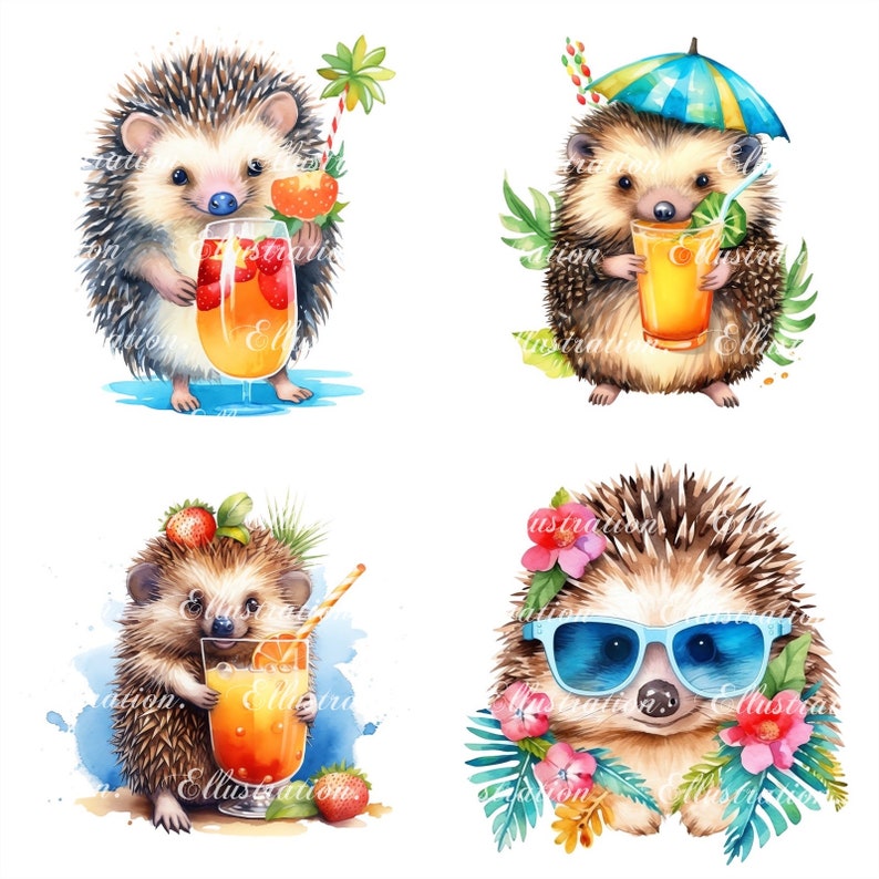 12 Beach Hedgehogs Clipart - PNG Files - Transparent Background ...