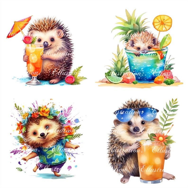 12 Beach Hedgehogs Clipart - PNG Files - Transparent Background ...