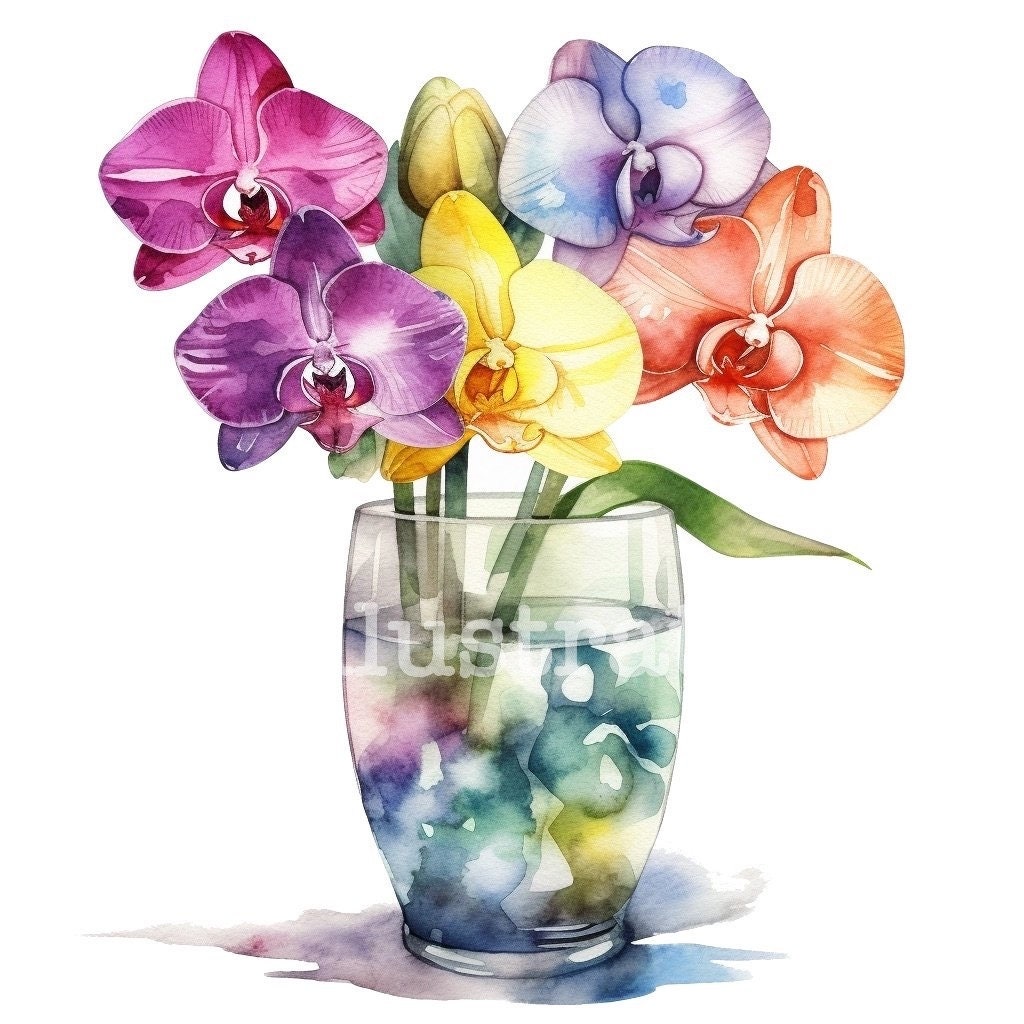 12 Rainbow Flowers Clipart PNG Files Transparent BG Commercial Use High ...