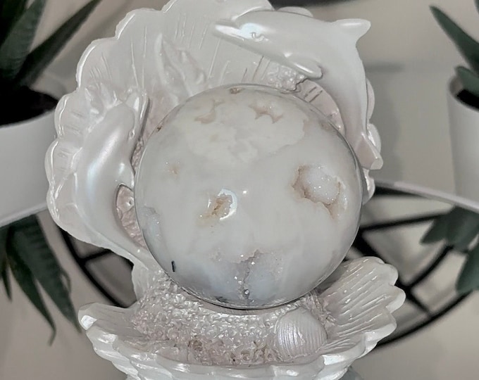 READ THE DETAILS!!! Seashell Crystal Sphere Display | Scallop Shell ...