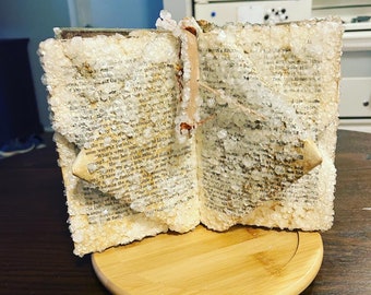 Robin Hood vultures Trigger and Nutsy - Etsy