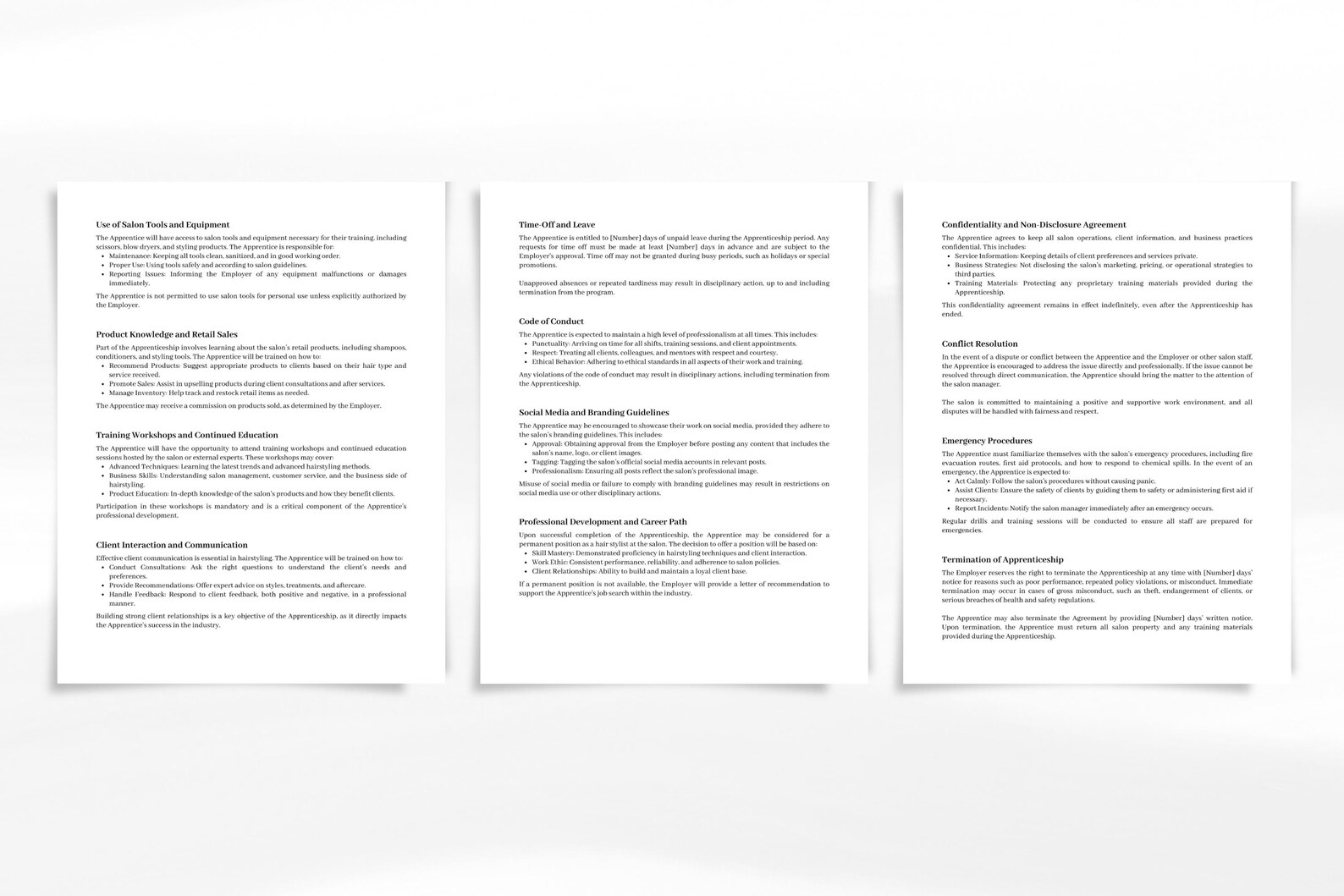 Hair Stylist Apprenticeship Agreement Template Comprehensive Training ...