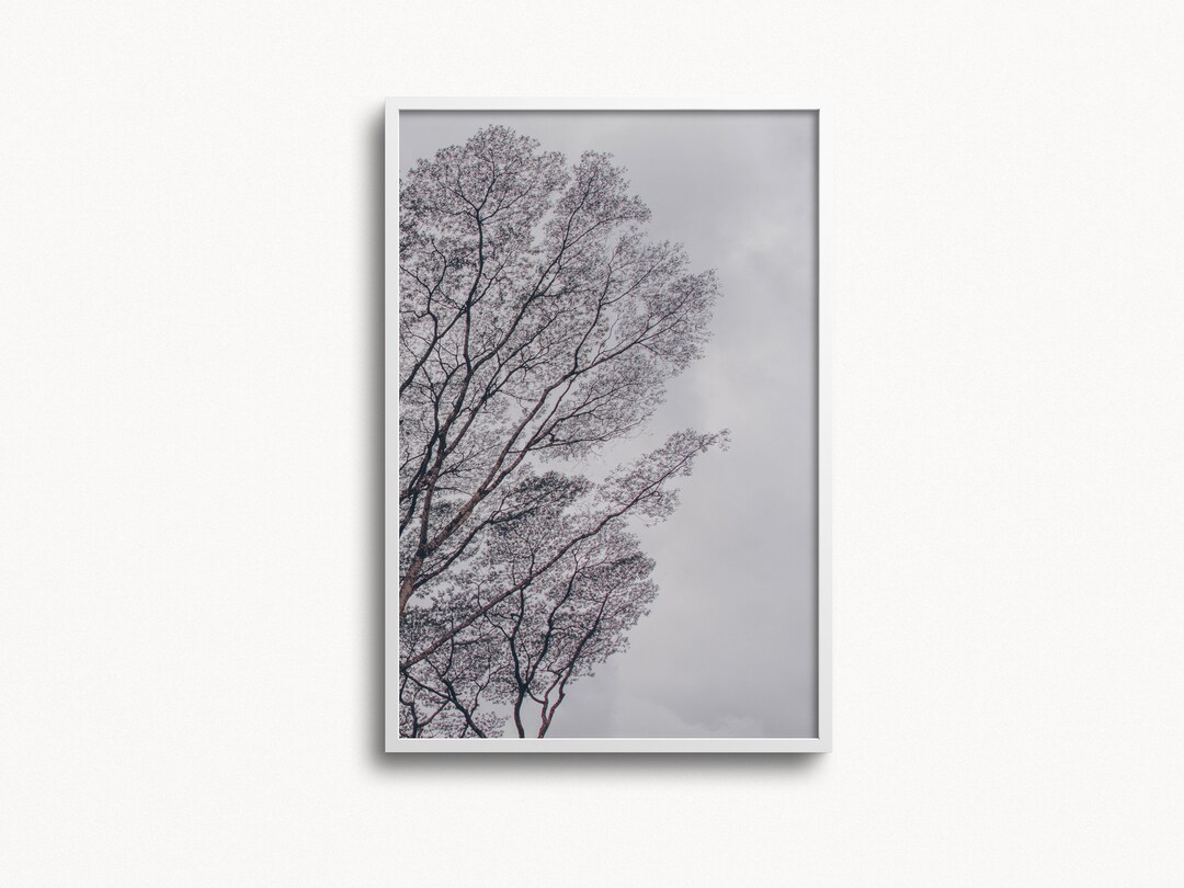 Tree Branch Print, Botanical Print, Botanical Wall Art, Minimalist Tree ...