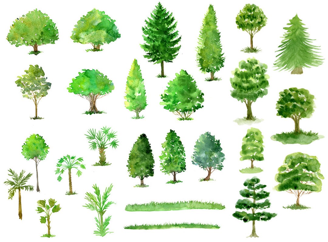 26x Tree Nature Bundle Watercolor Bundle Clip Art - Etsy