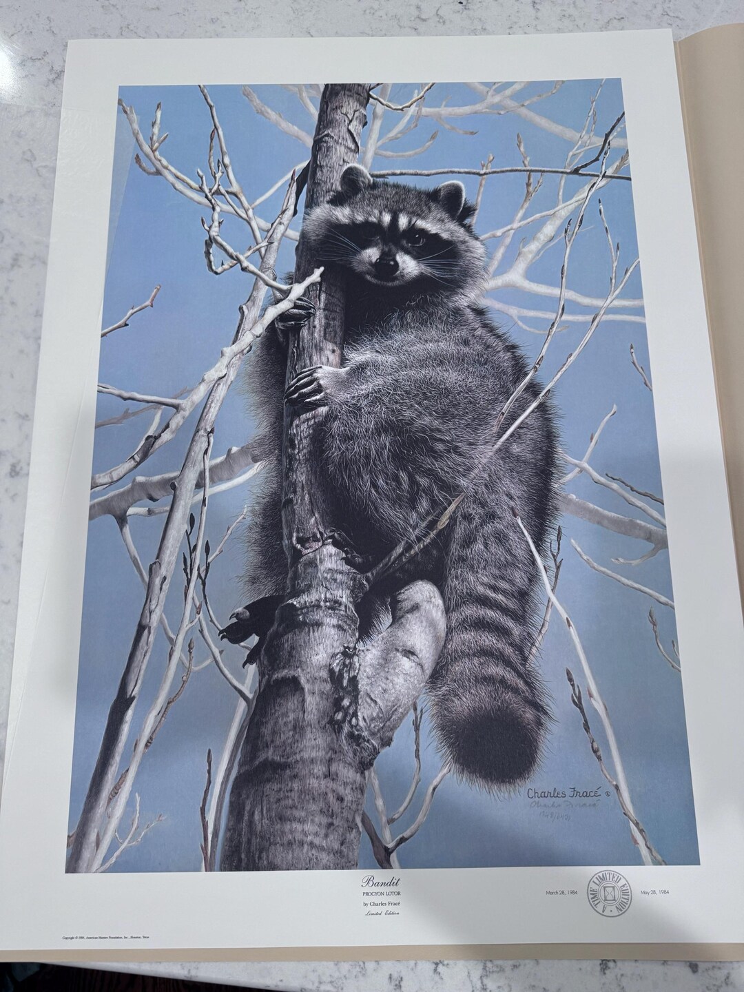Large 1984 Limited Edition Signed Numbered Charles Fracé Litho Print ...