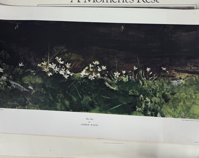 Andrew Wyeth - May Day - Vintage 1962 Print 13.25 X 17" Lithograph on ...