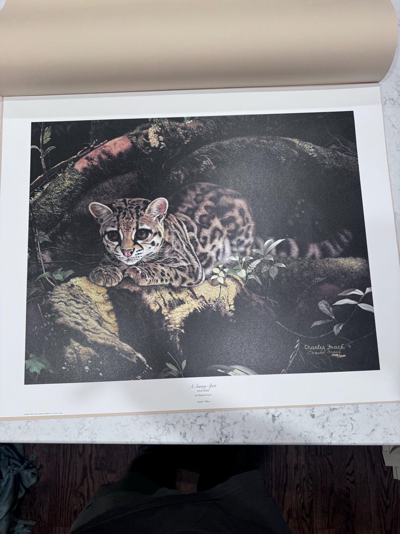 Charles Frace "a Sunny Spot" Signed Limited Print 1748/2500 18"x23 ...