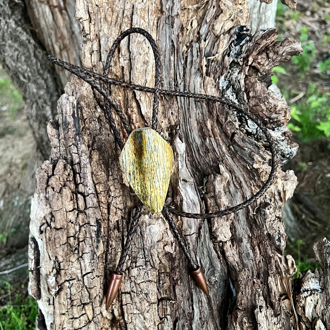 Giraffe Bone Bolo Tie - Etsy