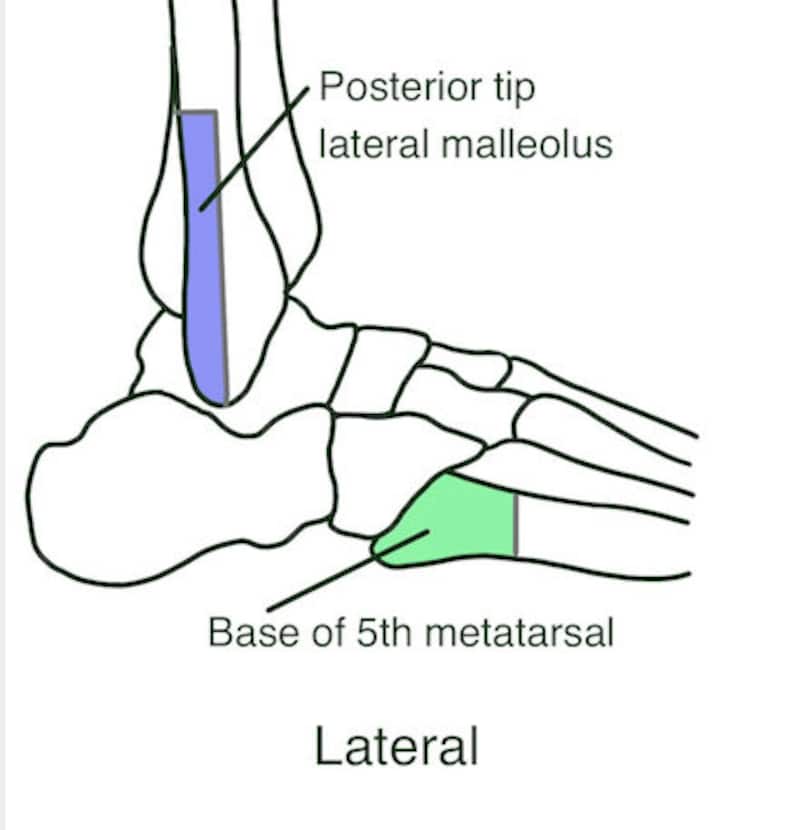 MSK Physical Exam Templates - Etsy