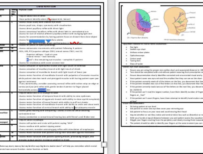 Cranial Nerve Exam - Etsy