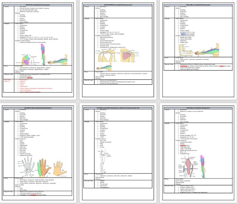 MSK Physical Exam Templates - Etsy