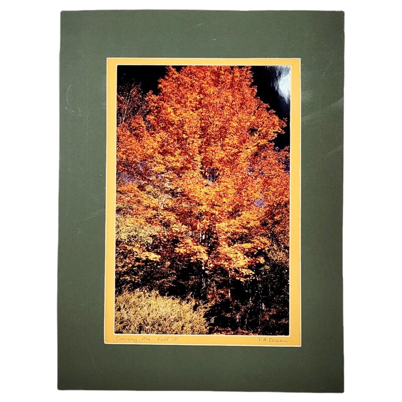 New England Fall - Etsy