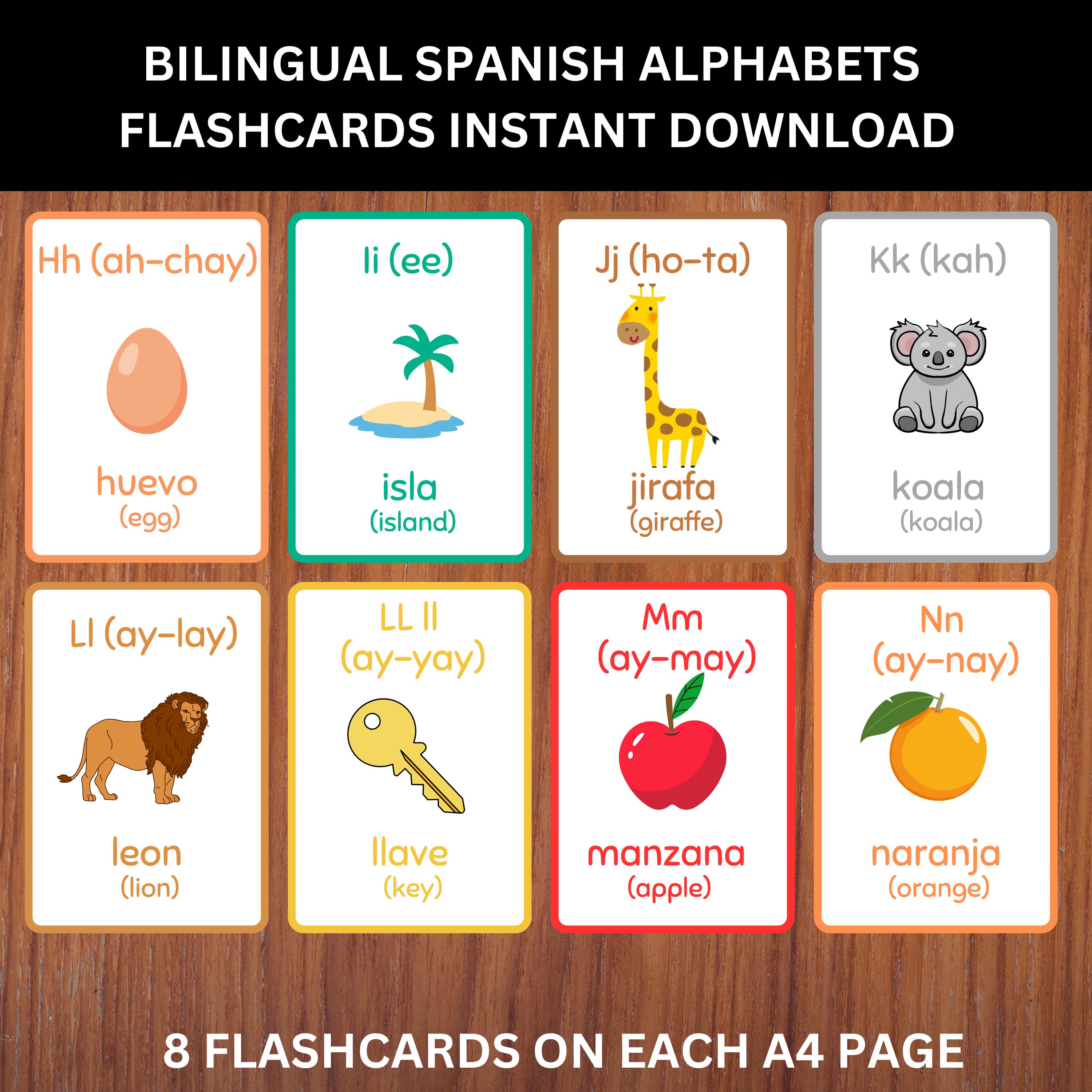Bilingual Spanish Alphabet Flashcards With Pronunciation and English ...