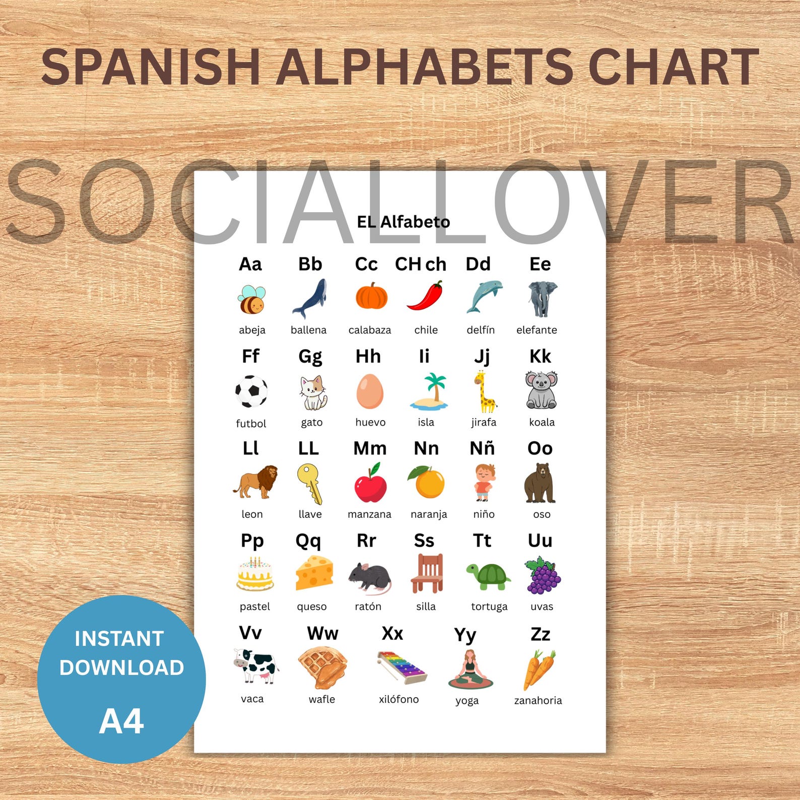 Spanish Alphabets Chart Poster Printable PDF Download | Spanish Letters ...