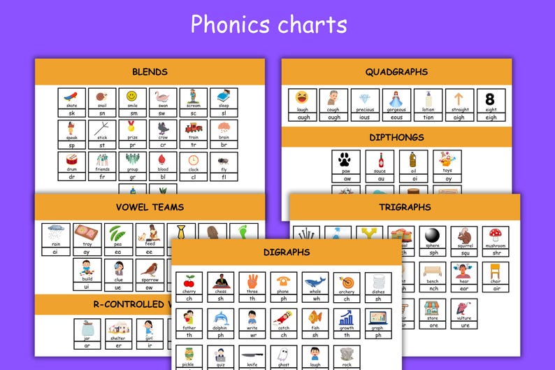 Phonics Binder Set | Reading Intervention, Charts & Worksheets (digital ...