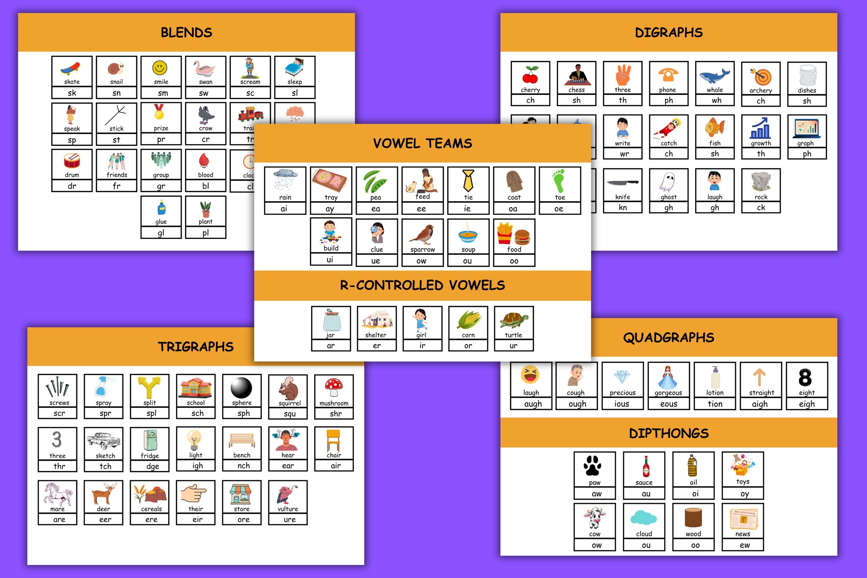 Phonics Binder Set: Reading Intervention Curriculum, Posters & Sounds ...