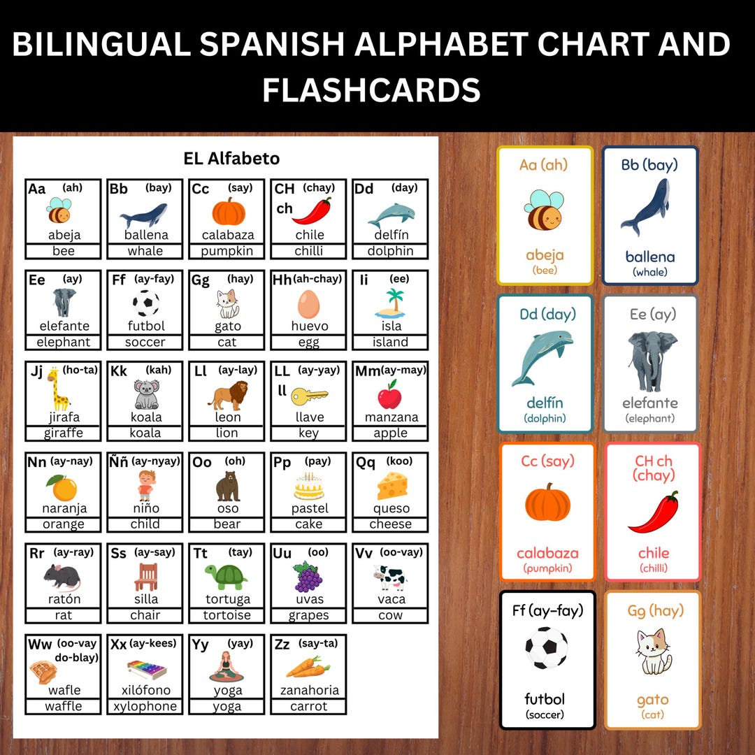 Bilingual Spanish Alphabet Chart and Flashcards With English ...