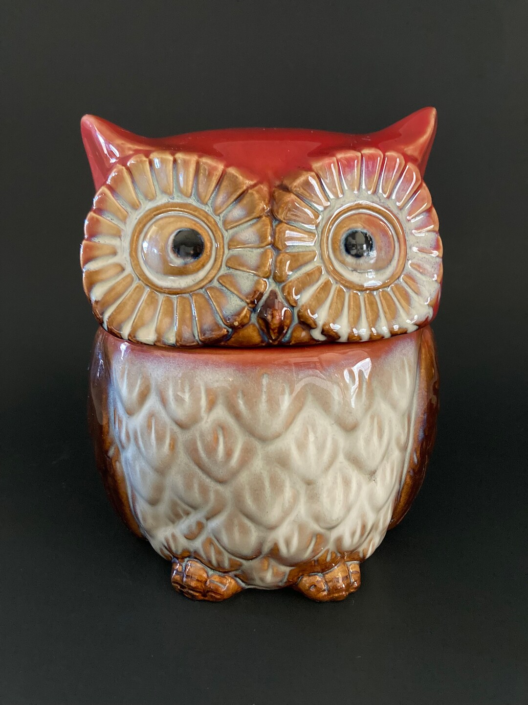 Charming Ceramic Owl Cookie/misc Jar - Etsy