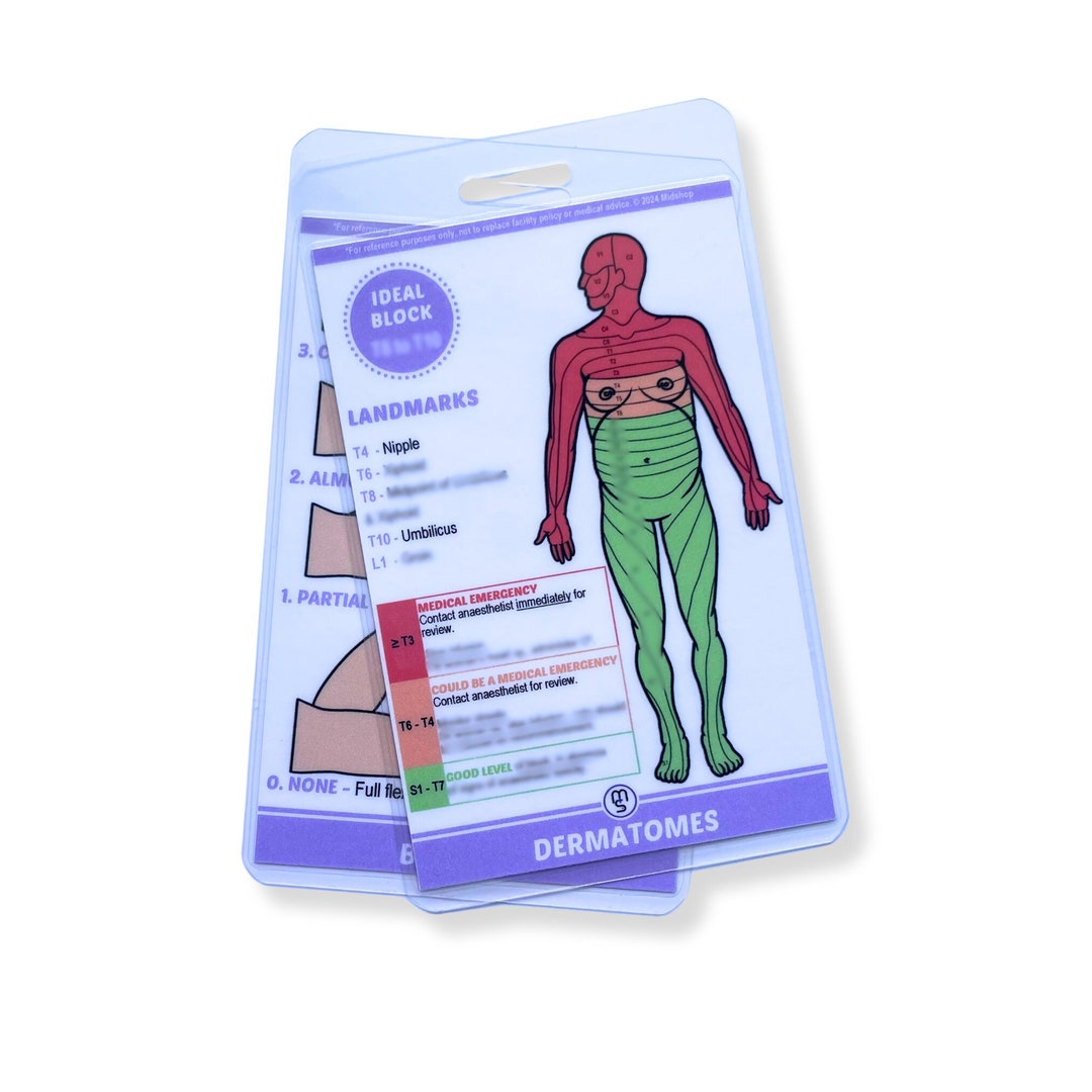 Dermatomes & Bromage Reference Card | Midwifery Reference Card, Student ...