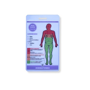 Dermatomes & Bromage Reference Card | Midwifery Reference Card, Student ...