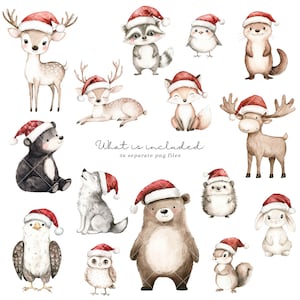 Watercolor Woodland Friends Clipart, Cute Xmas Animals PNG, Christmas ...