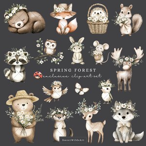 Watercolor Spring Forest Clipart, Cute Woodland PNG, Baby Animal ...