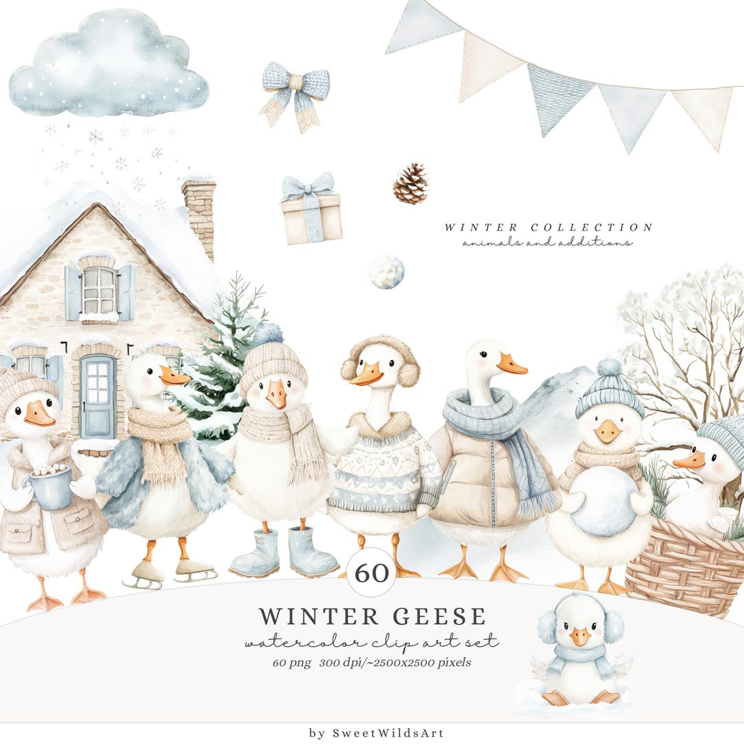 Watercolor Winter Geese Clipart, Cute Silly Goose PNG, Cozy Winter ...