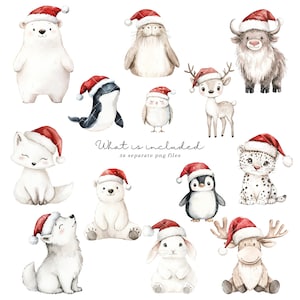 Watercolor Polar Friends Clipart, Cute Arctic Animals PNG, Christmas ...
