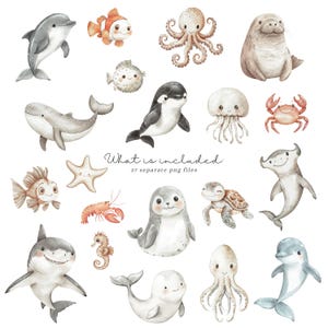 Watercolor Cute Sea Animals Clipart, Ocean Animals PNG, Sealife ...