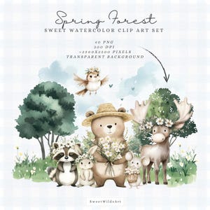 Watercolor Spring Forest Clipart, Cute Woodland PNG, Baby Animal ...